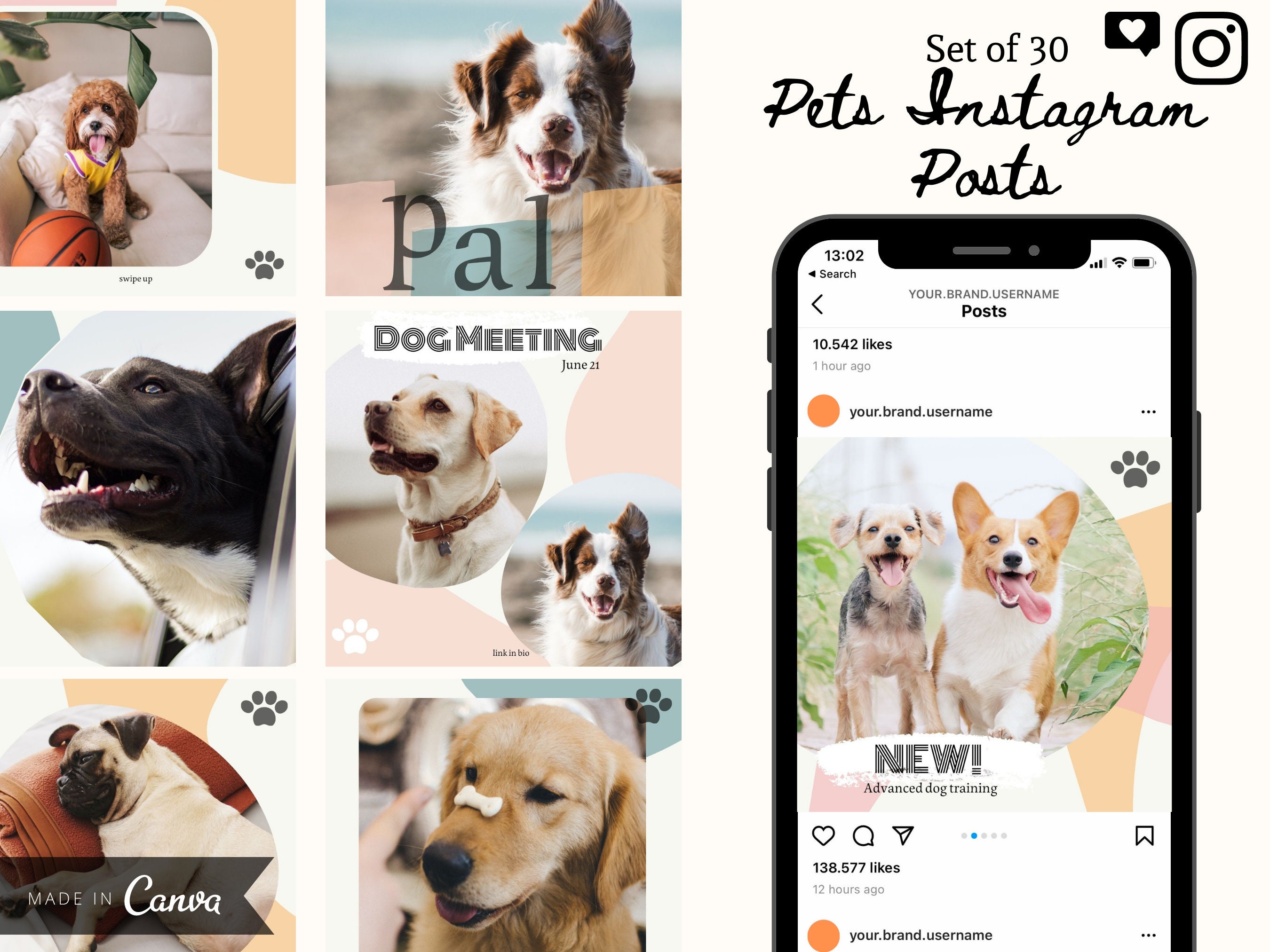 30 PETS POST TEMPLATE for Instagram, Social Media Posts for Dog and Pet ...