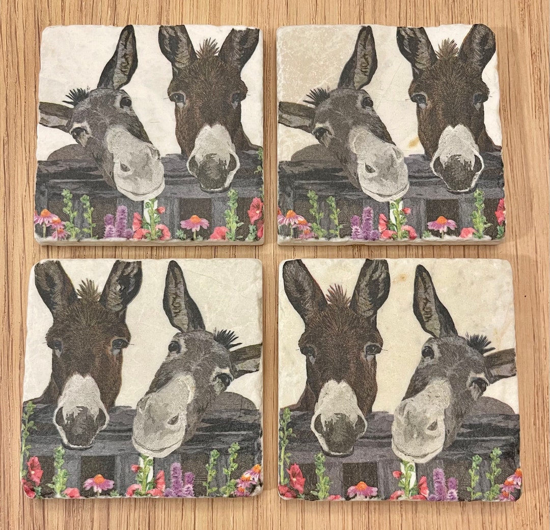 Peanut Butter & Jelly Coaster Set - Etsy