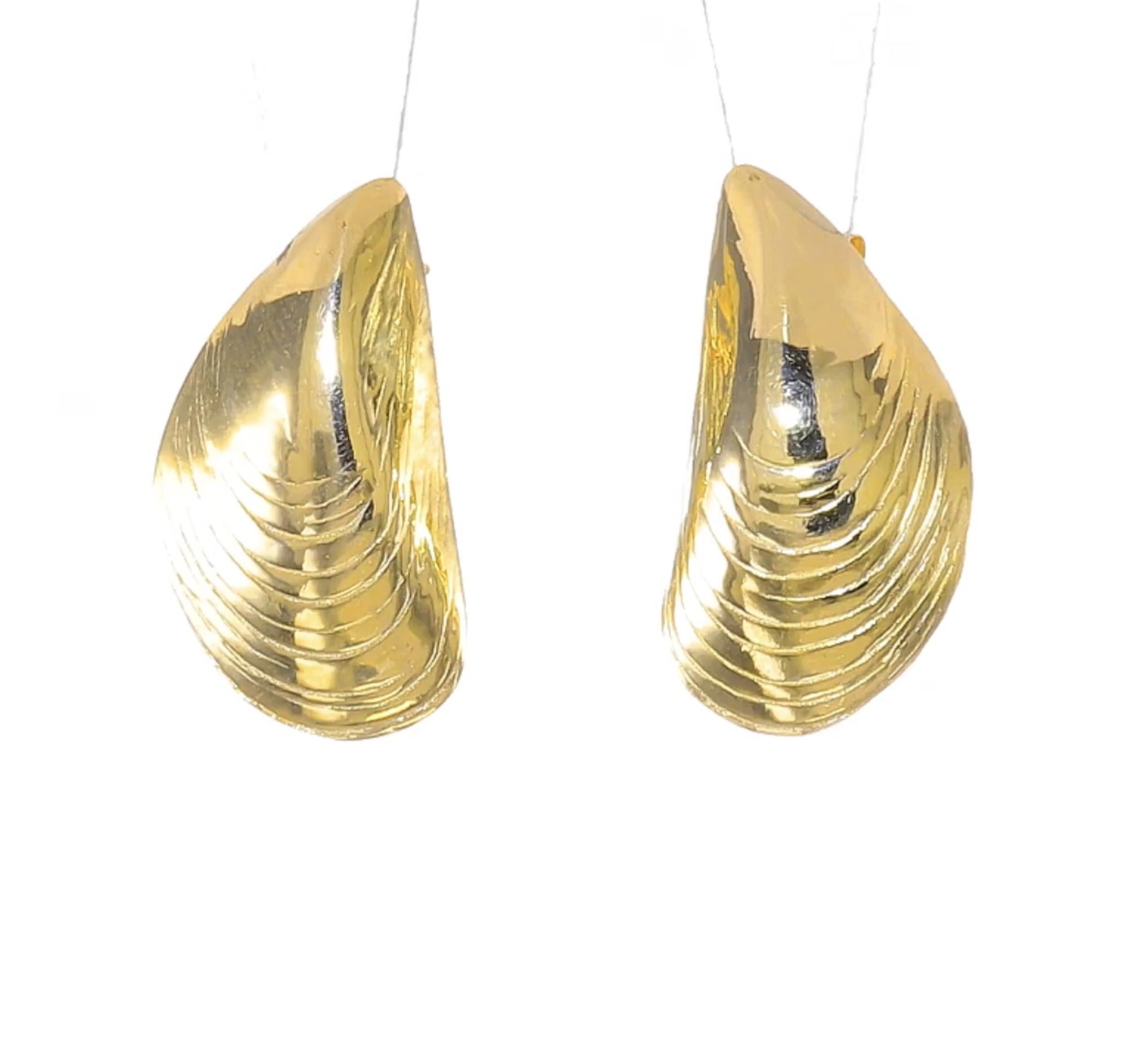 14k Yellow Gold Studded Post Push Back Pierced Ears Sea Shell Luxurious ...