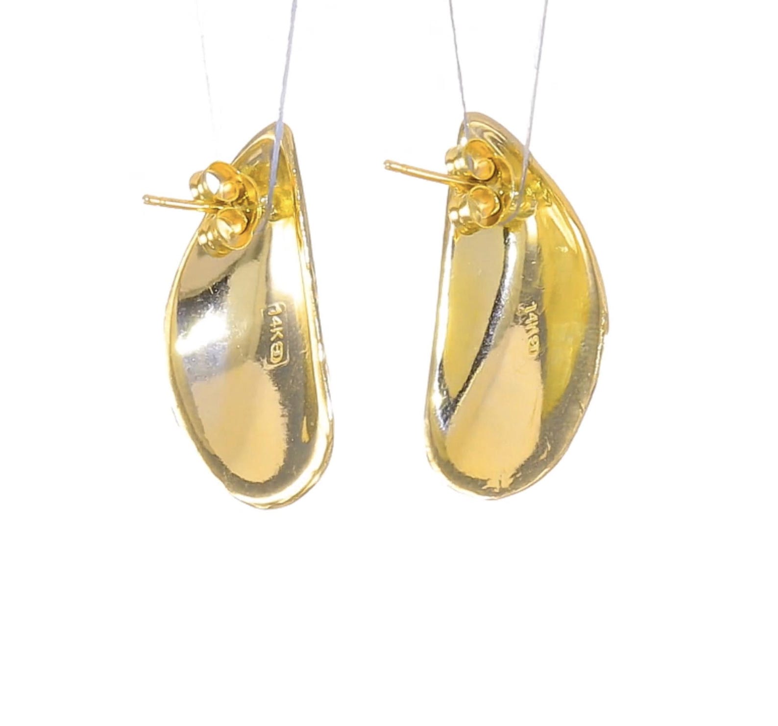 14k Yellow Gold Studded Post Push Back Pierced Ears Sea Shell Luxurious ...