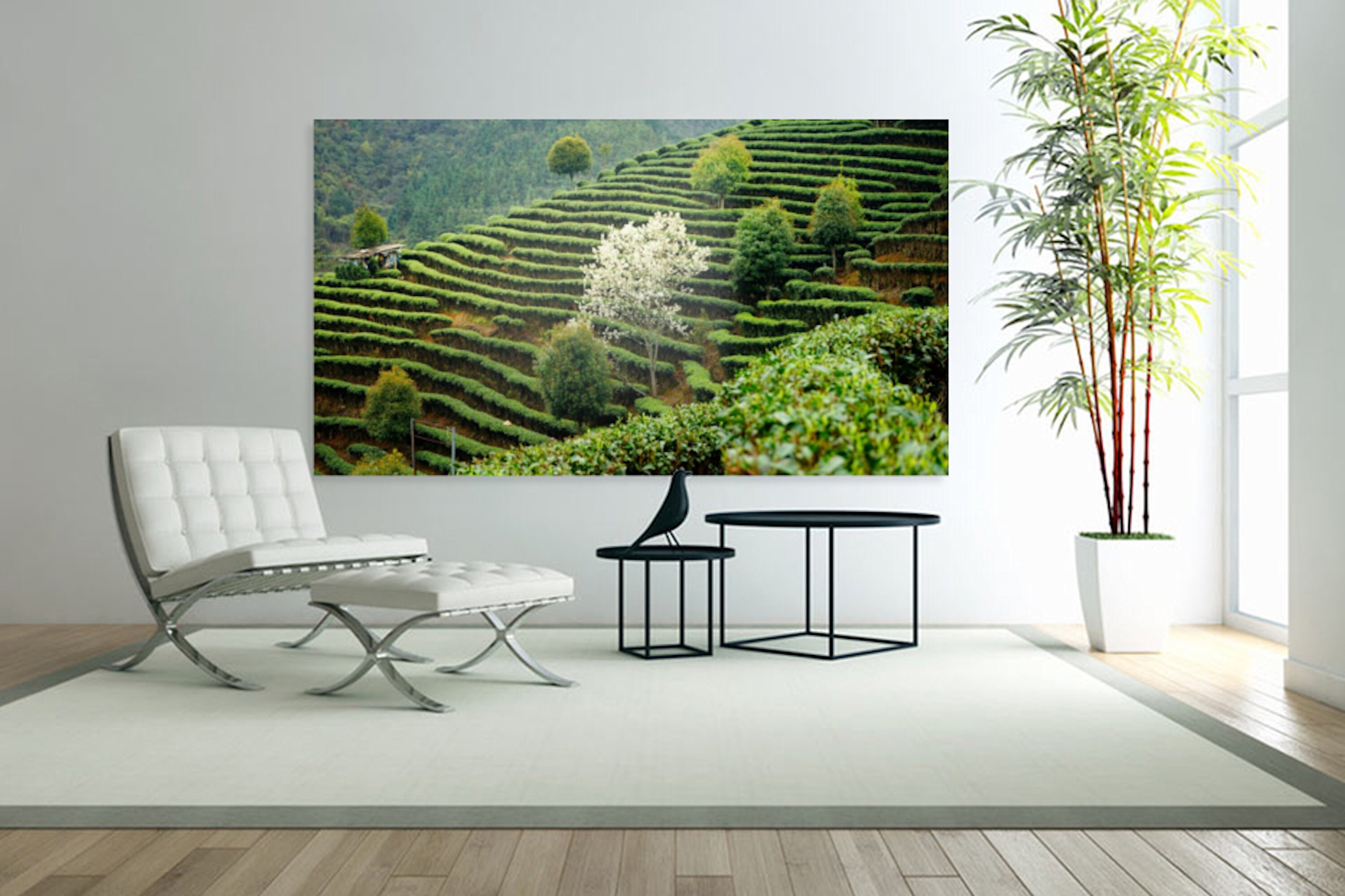 Tuscany Grape Wine Hillside Vineyard Downloadable Wall Art Print ...