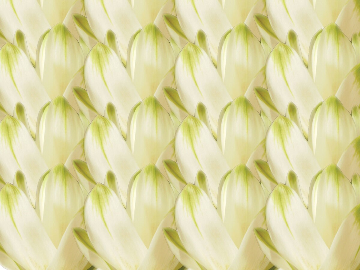 Organic Hawaiian Turmeric Powder - Etsy