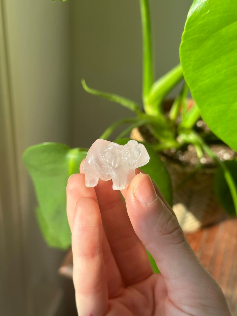 Clear Quartz Elephant Carving | Crystal Animal Totem | Clarity ...