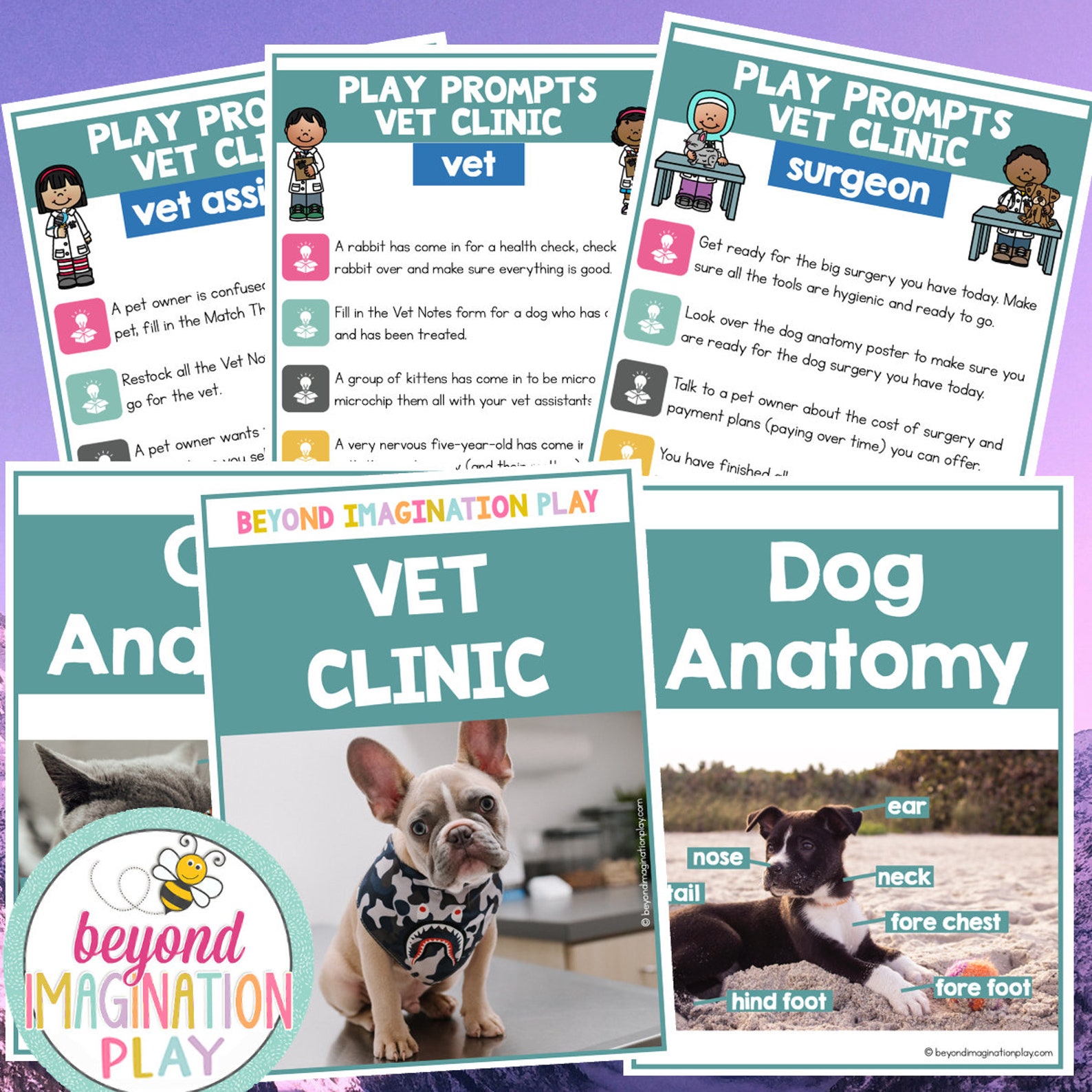 Vet Clinic Play Pretend Printables | Instant Digital Download ...