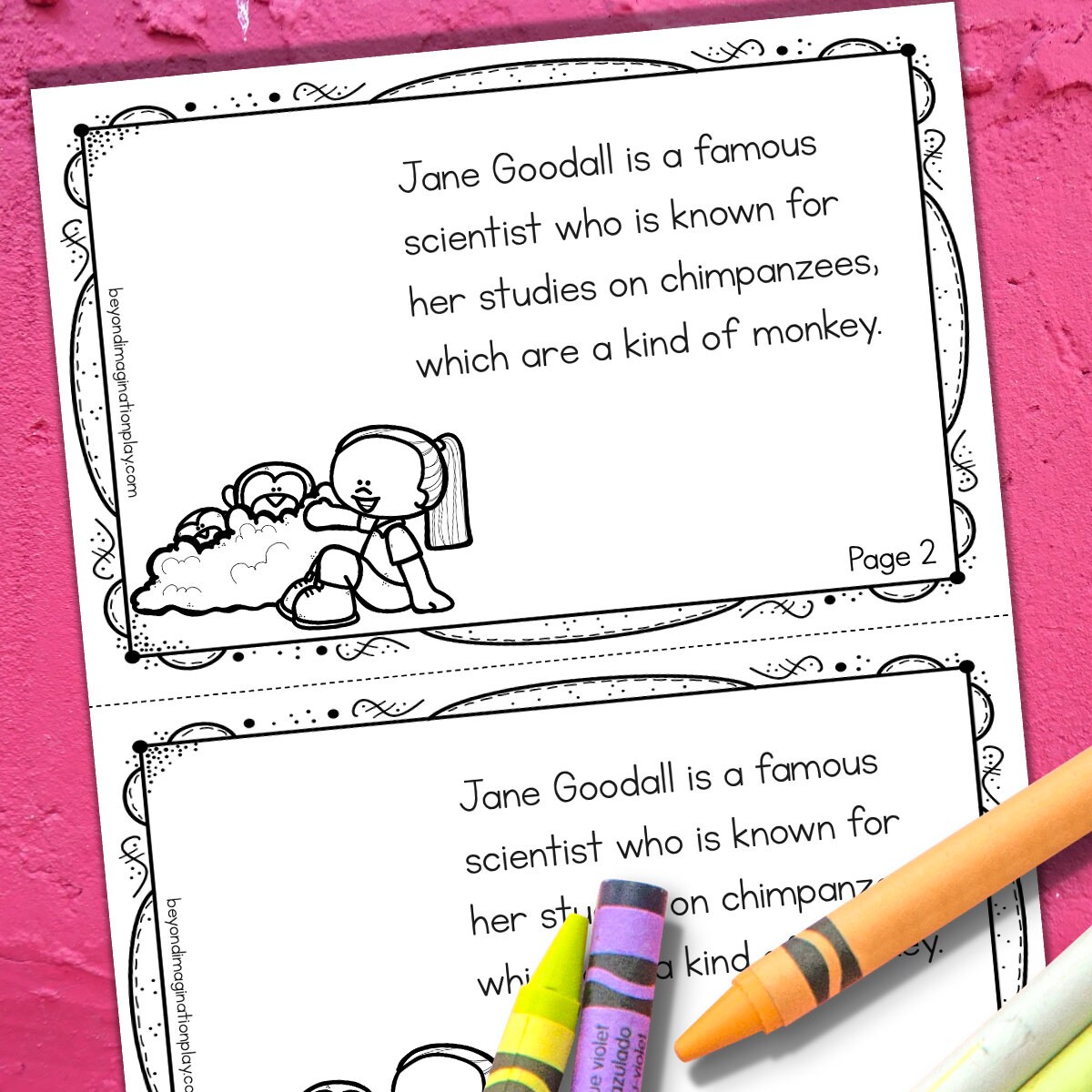 Jane Goodall Biography *BEST SELLER* Reading Comprehension. Sheets ...