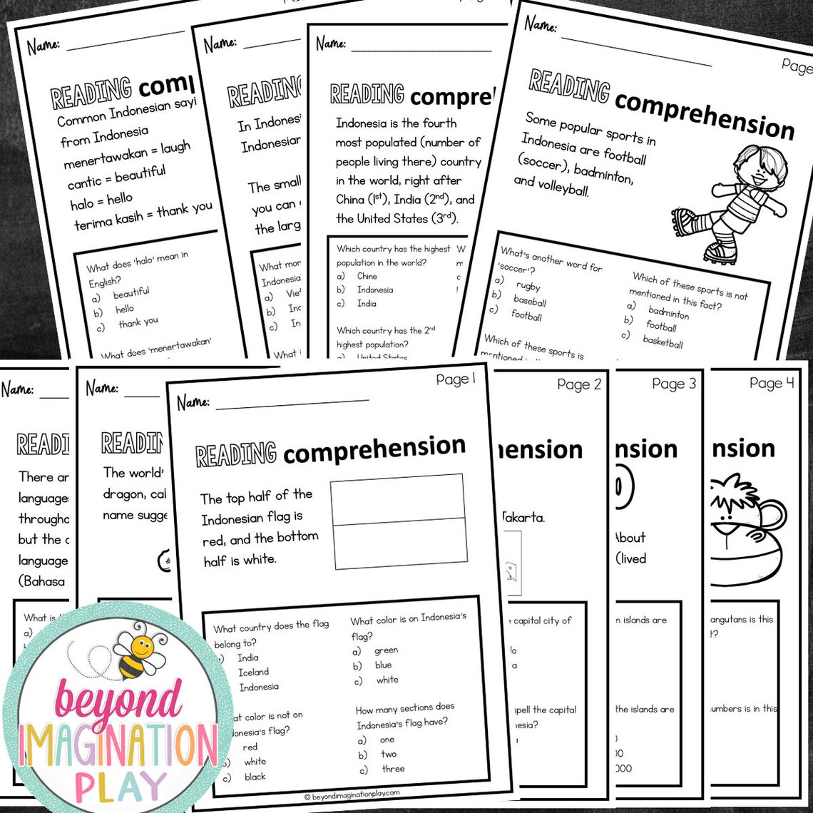 DELUXE Indonesia Country Study *BEST SELLER* Comprehension, Activities ...