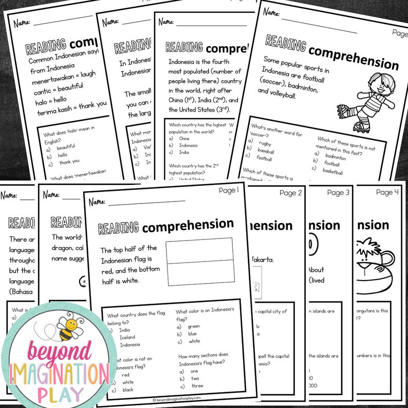 DELUXE Indonesia Country Study *BEST SELLER* Comprehension, Activities ...