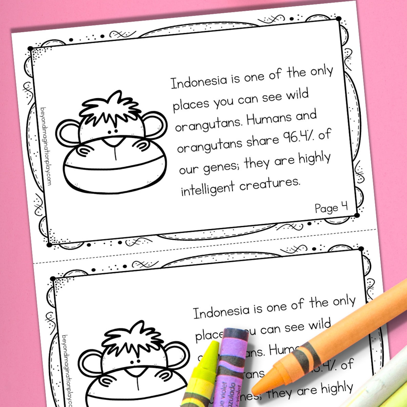 DELUXE Indonesia Country Study *BEST SELLER* Comprehension, Activities ...