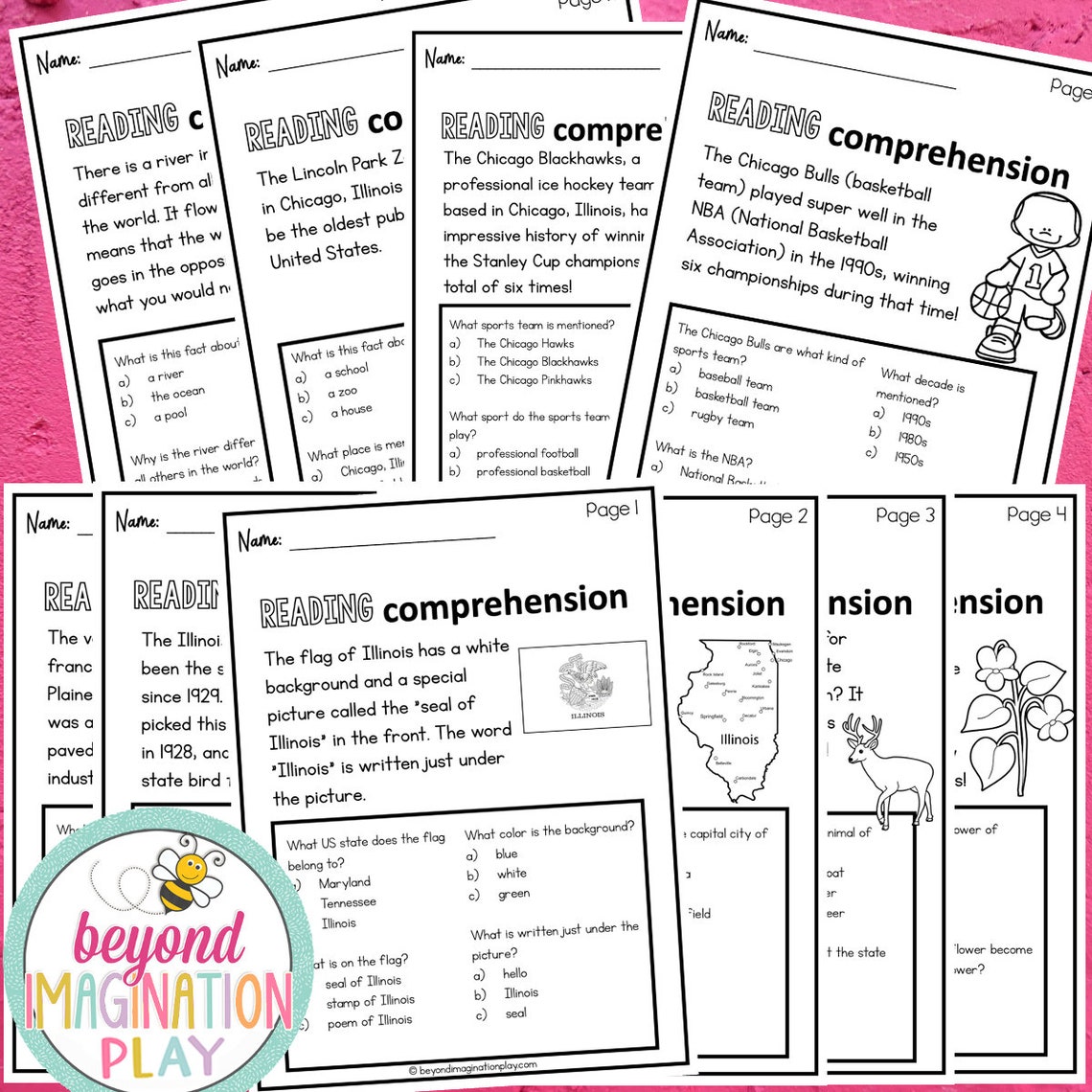 50 States Project | Illinois Facts Activities Worksheets Reading ...