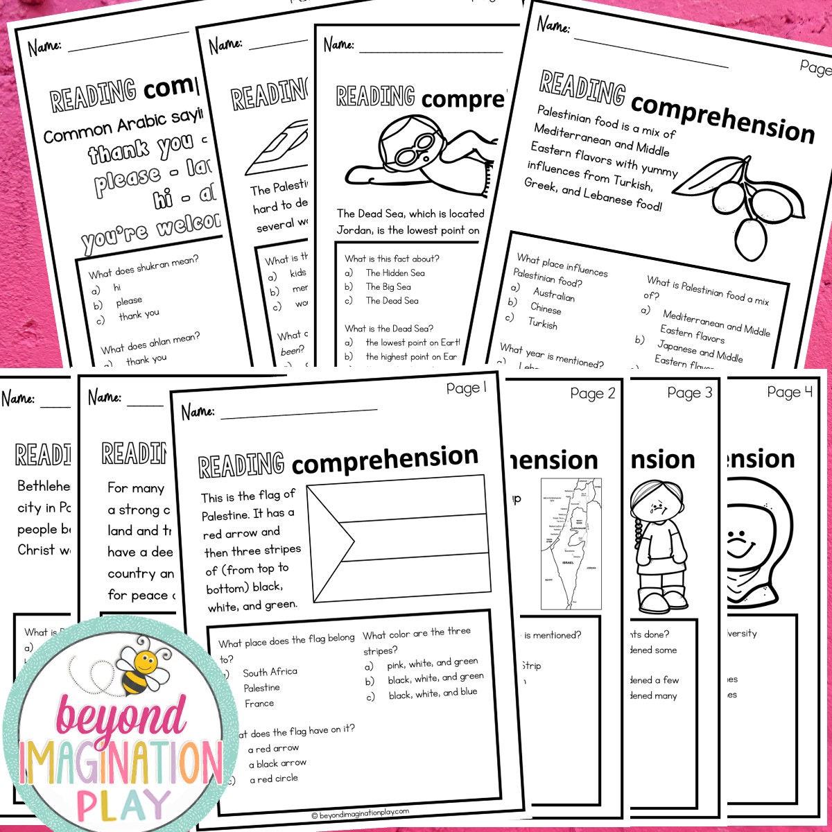 Palestine Place Study Instant Digital Download Printable Activity for ...
