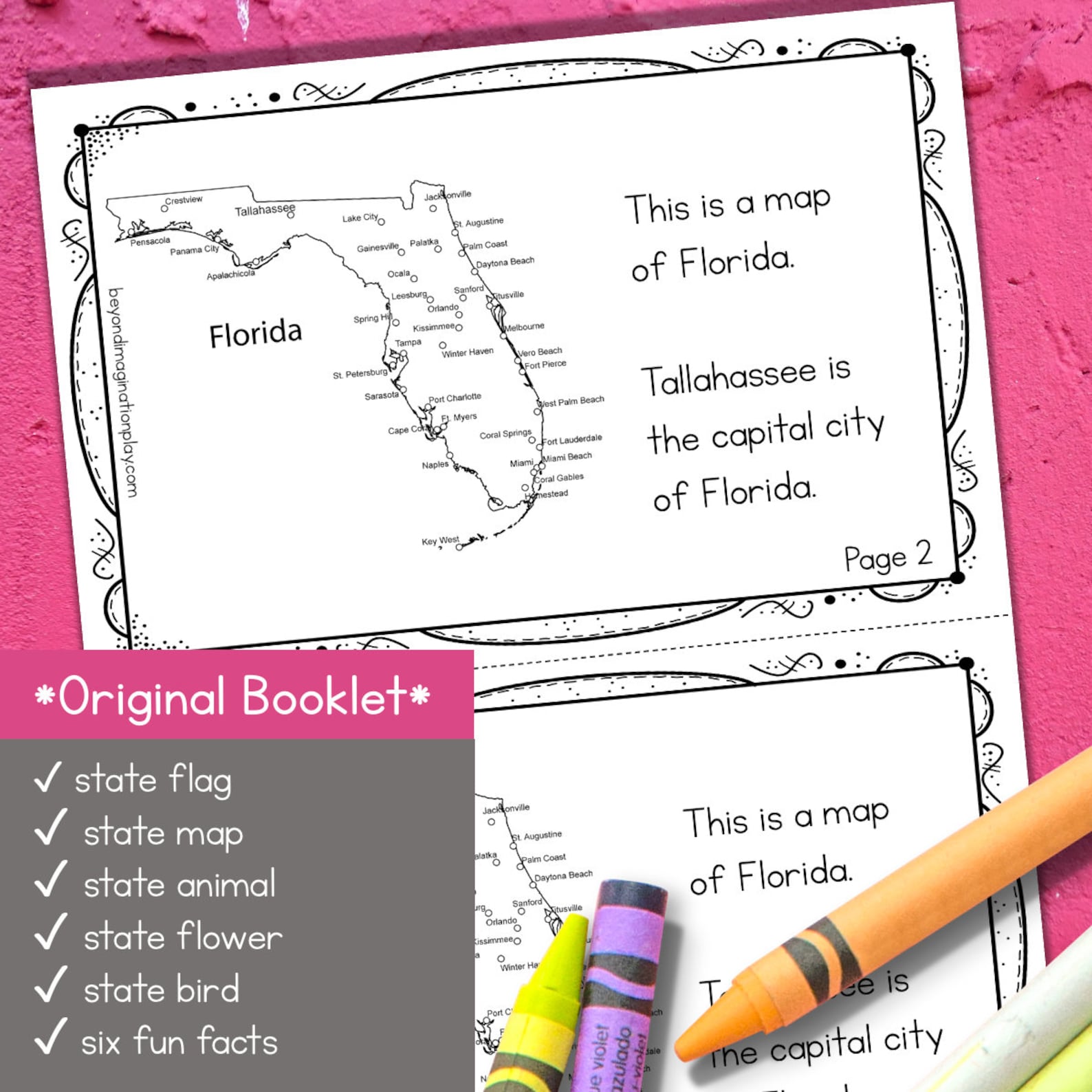 50 States Project | Florida Facts Activities Worksheets Reading ...