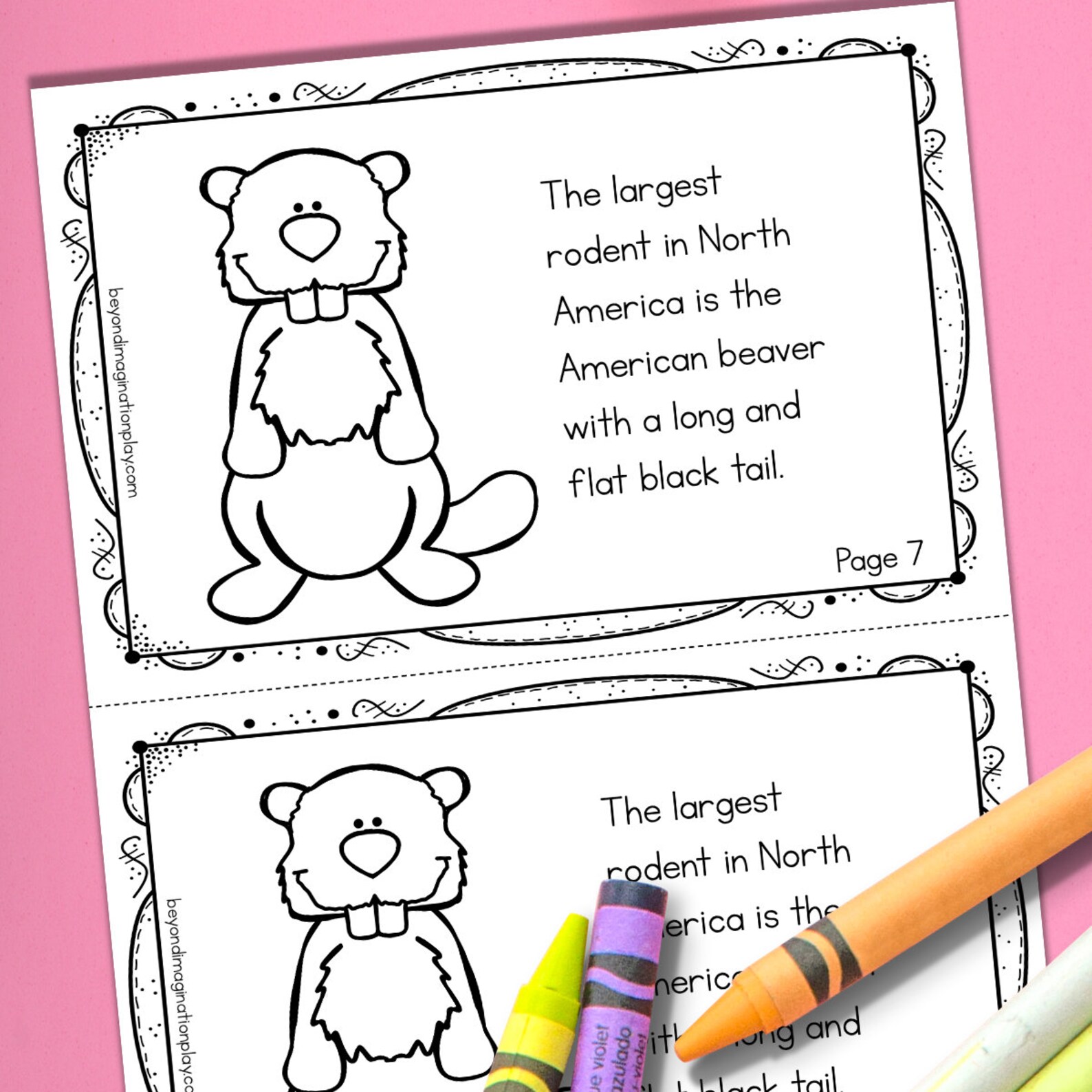 Value Bundle North America Continent Study Instant Digital Download ...