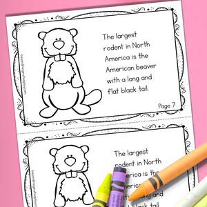 Value Bundle North America Continent Study Instant Digital Download ...