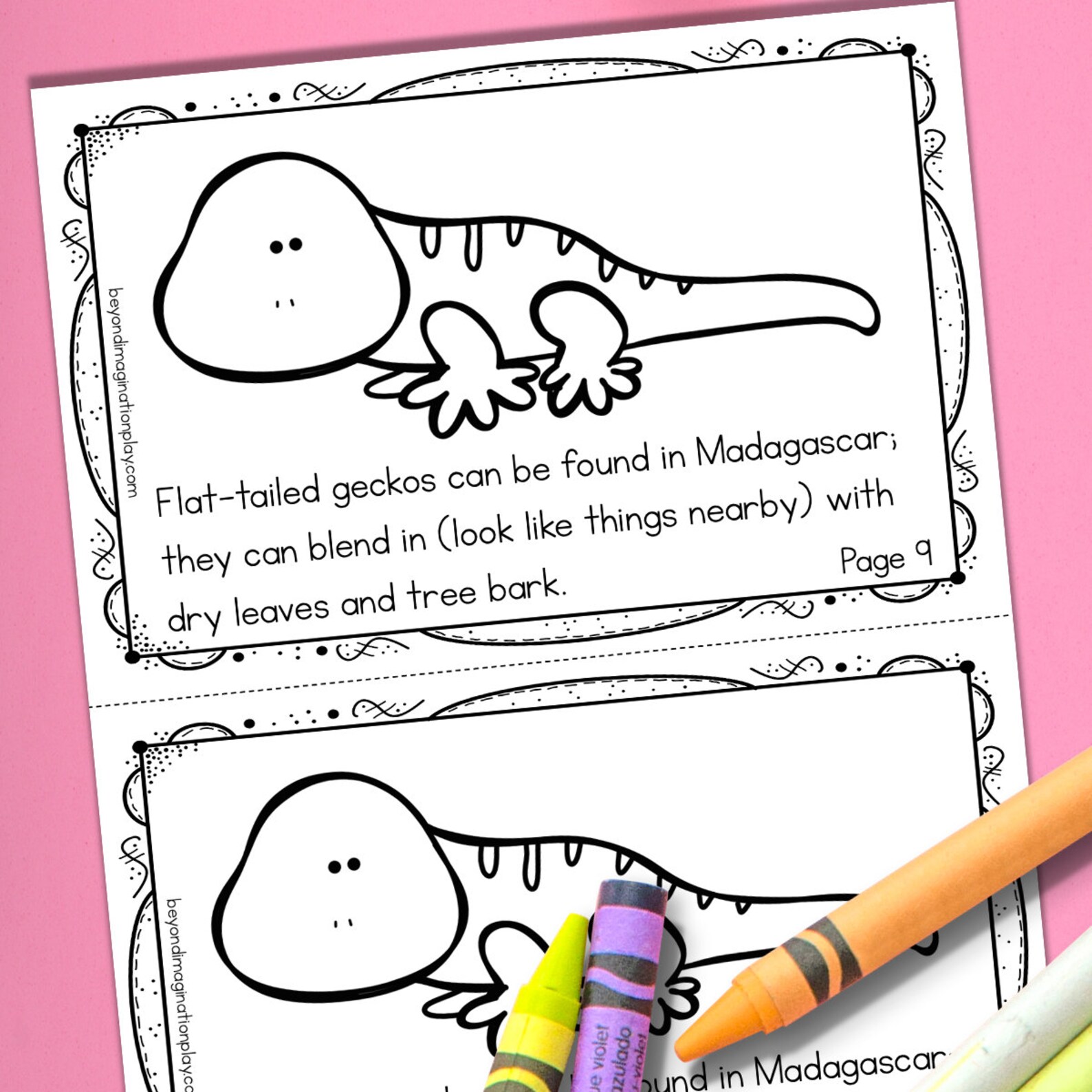 Madagascar Country Study | Instant Digital Download | Printable ...