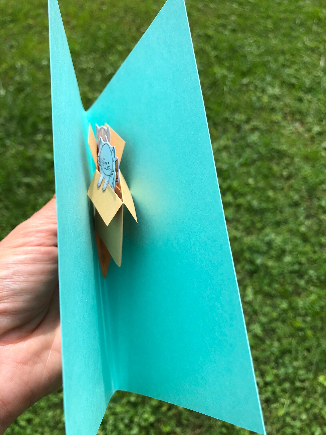 Box of Kittens Pop-up Card Kit - Etsy