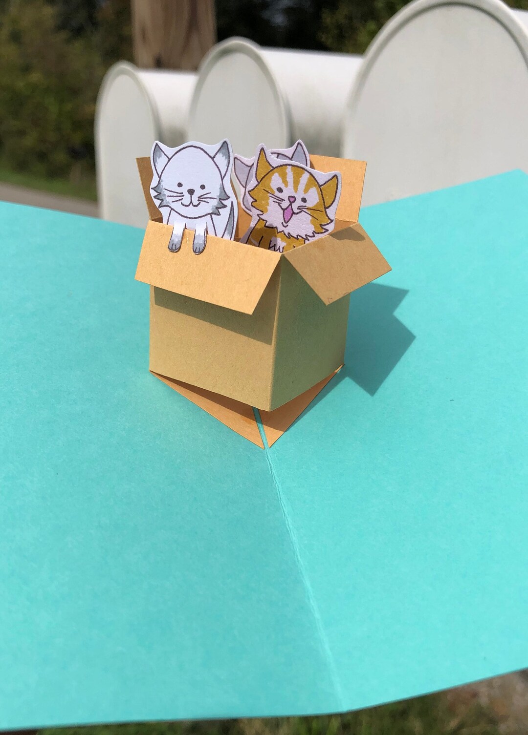 Box of Kittens Pop-up Card Kit - Etsy
