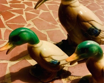 Ceramic Ducks - Etsy