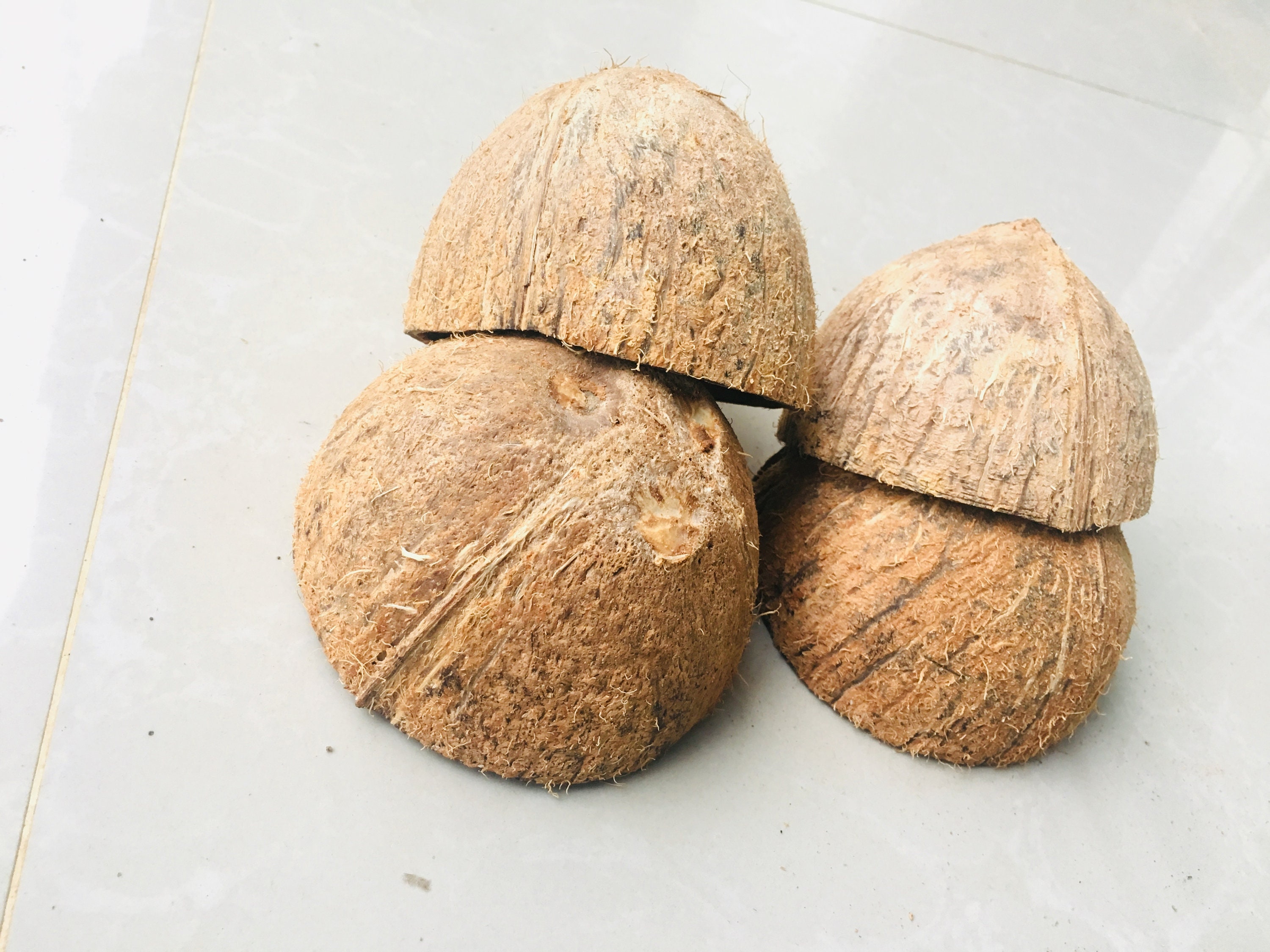 Cáscara de coco pura natural / cáscaras de coco para | Etsy