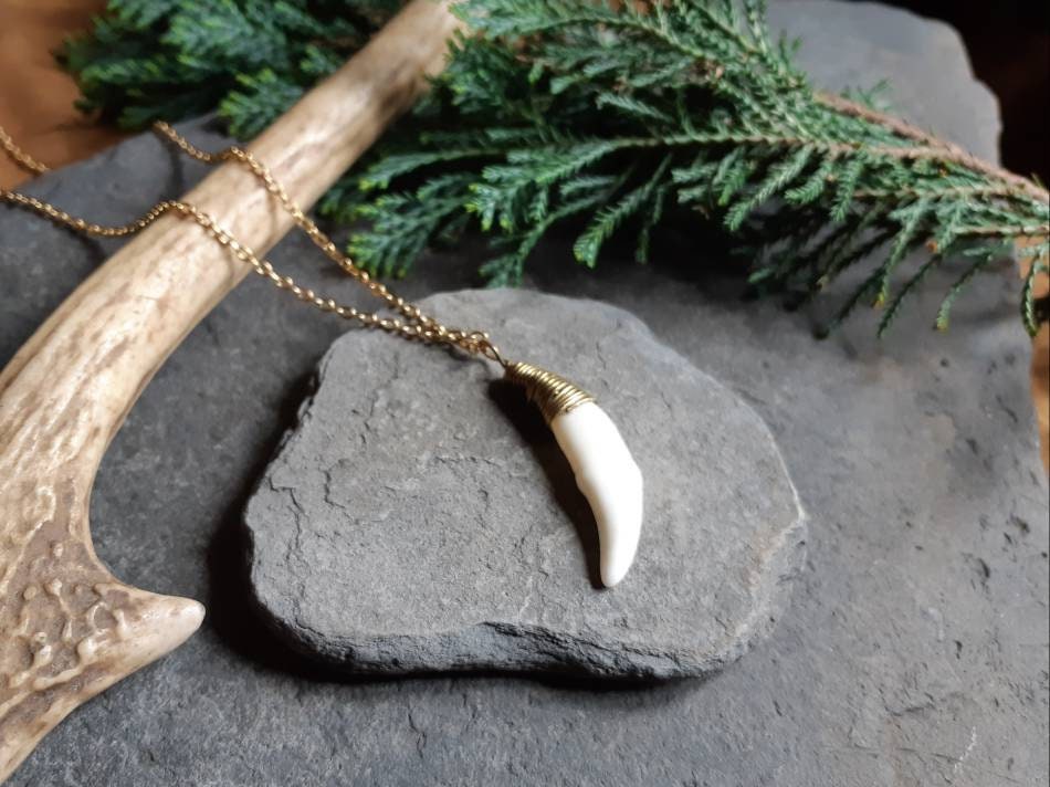 Real Coyote Tooth Pendant Gold Wire Wrapped Tribal Style. Wolf Fang ...