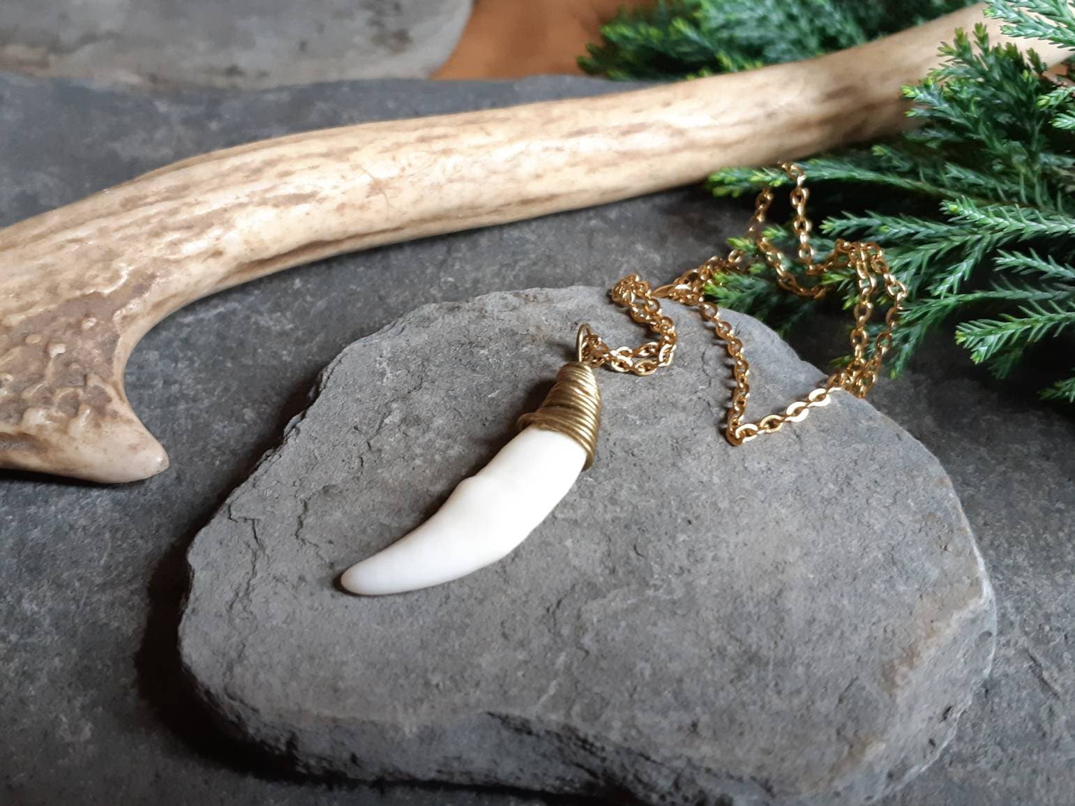 Real Coyote Tooth Pendant Gold Wire Wrapped Tribal Style. Wolf Fang ...
