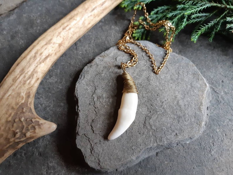 Real Coyote Tooth Pendant Gold Wire Wrapped Tribal Style. Wolf Fang ...