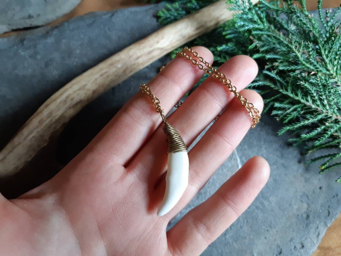 Real Coyote Tooth Pendant Gold Wire Wrapped Tribal Style. Wolf Fang ...