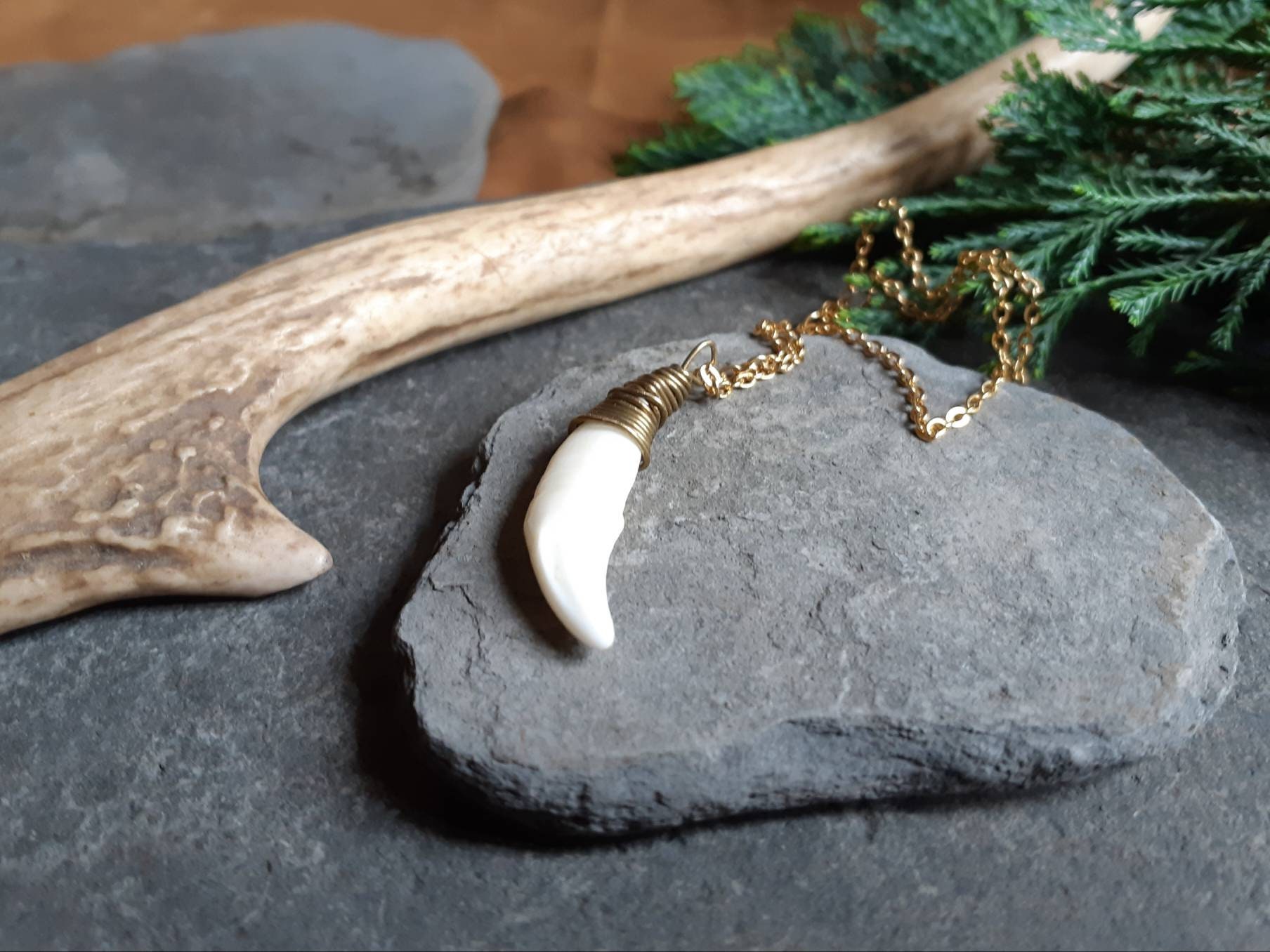 Real Coyote Tooth Pendant Gold Wire Wrapped Tribal Style. Wolf Fang ...