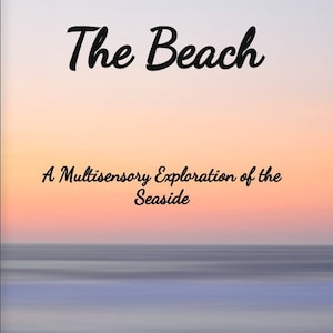 The Beach Sensory Story Teaching Resource Pack With Themed Sensory ...