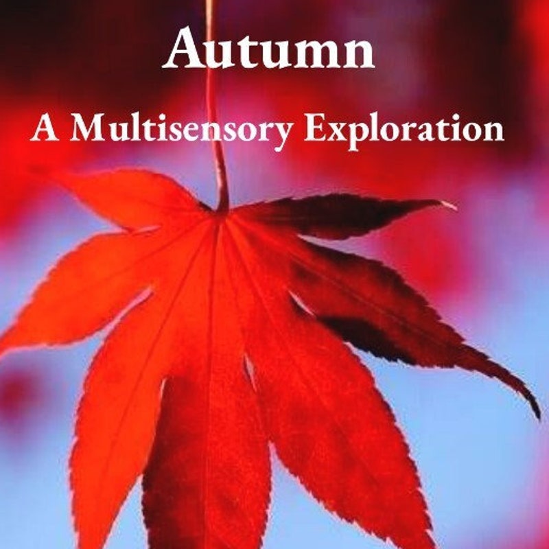 MultisensoryStories - Etsy