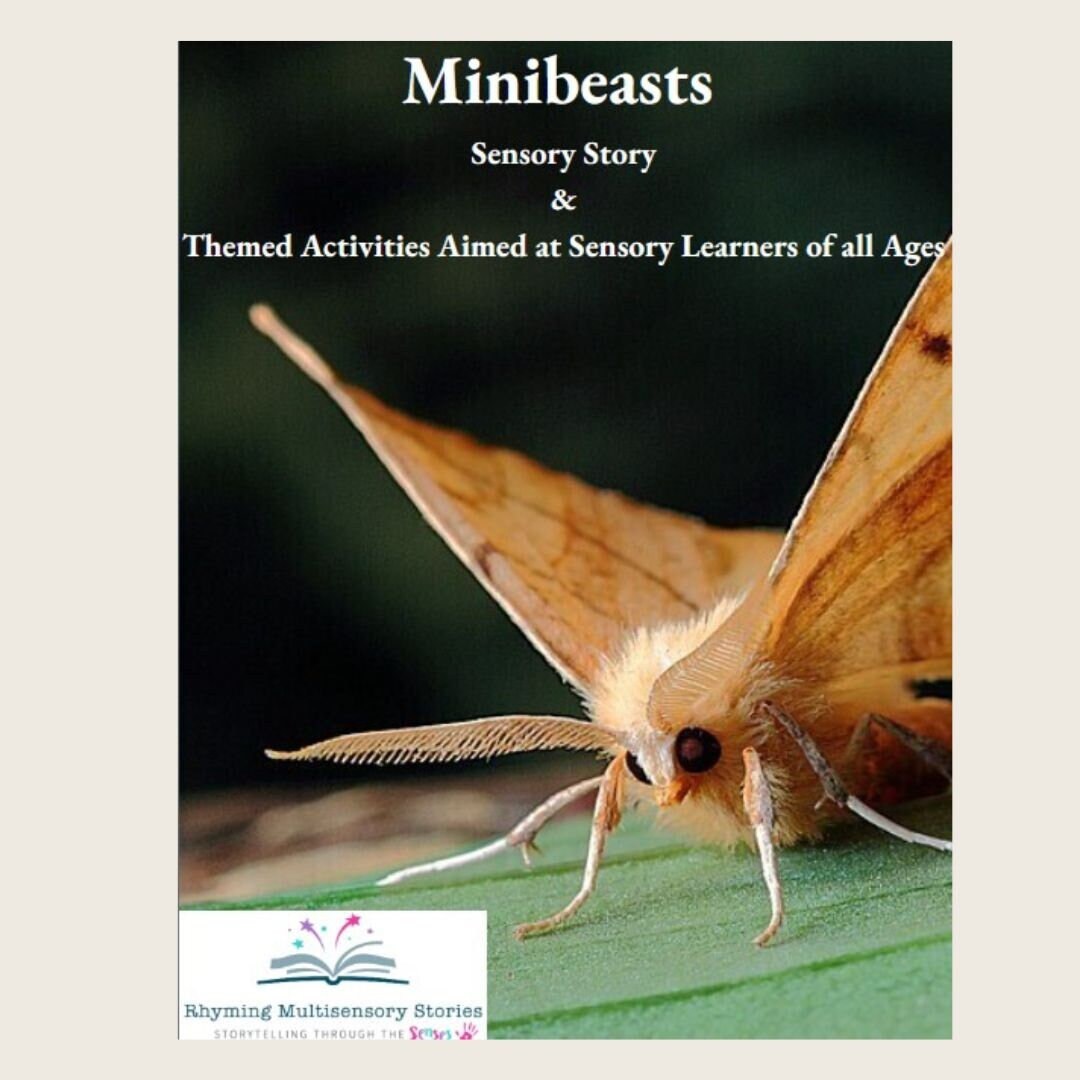 Minibeasts Sensory Story Plus Themed Extension Activities Teaching ...