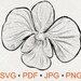 Orchid SVG JPG PNG Digital Download / Digital Vector Clipart Print - Etsy