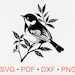 Bird on Branch Vector Cut File Cricut,bird Svg,bird on Tree Branch Clip ...
