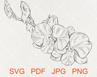 Orchid SVG JPG PNG Digital Download / Digital Vector Clipart Print - Etsy