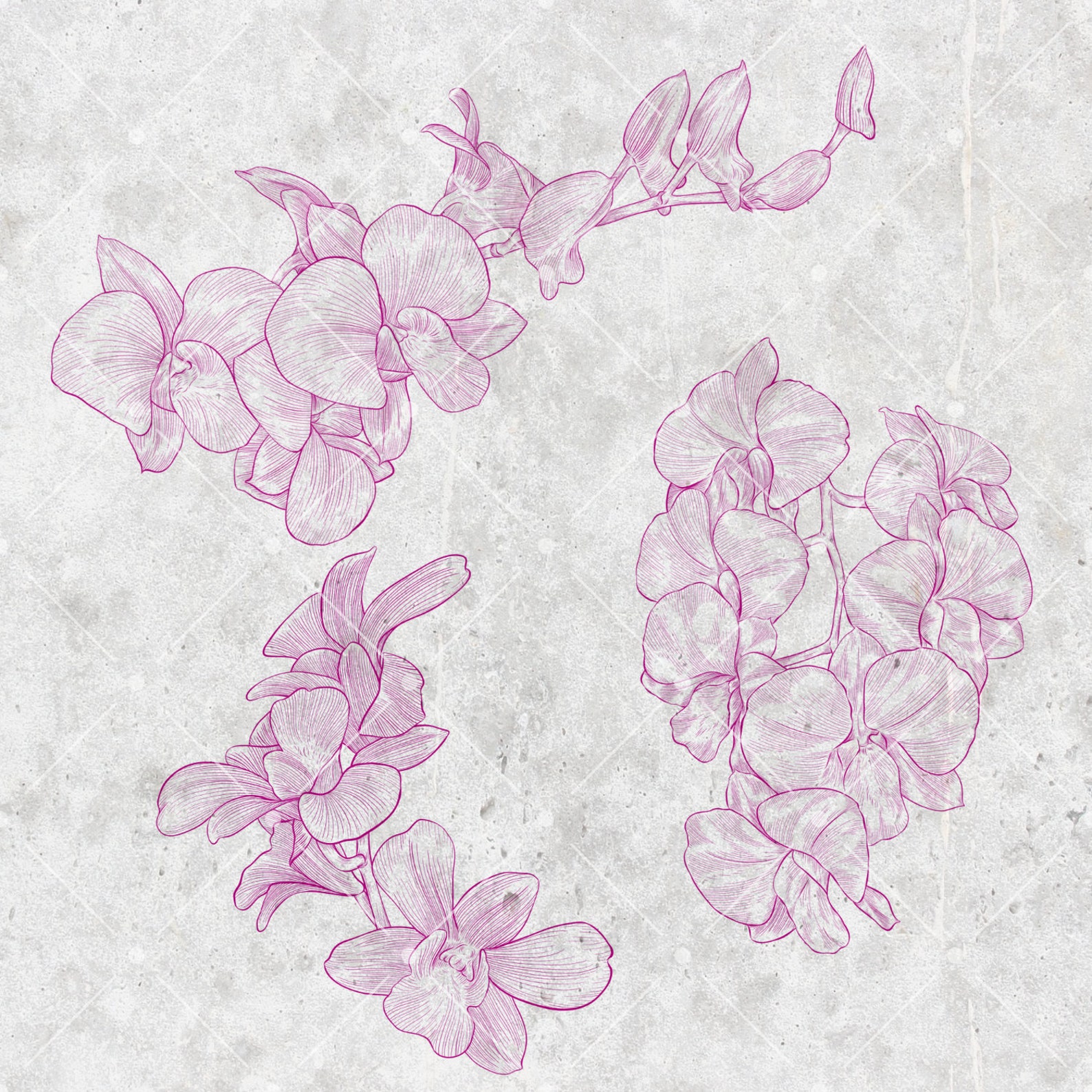 10 Orchids Stamp Brushes, Procreate Stamp,procreate Tattoo,flower ...