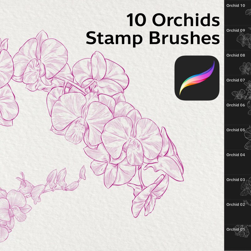 Orchid Drawing - Etsy