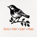 Bird on Branch Vector Cut File for Cricut, Bird SVG, Silhouette Clip ...