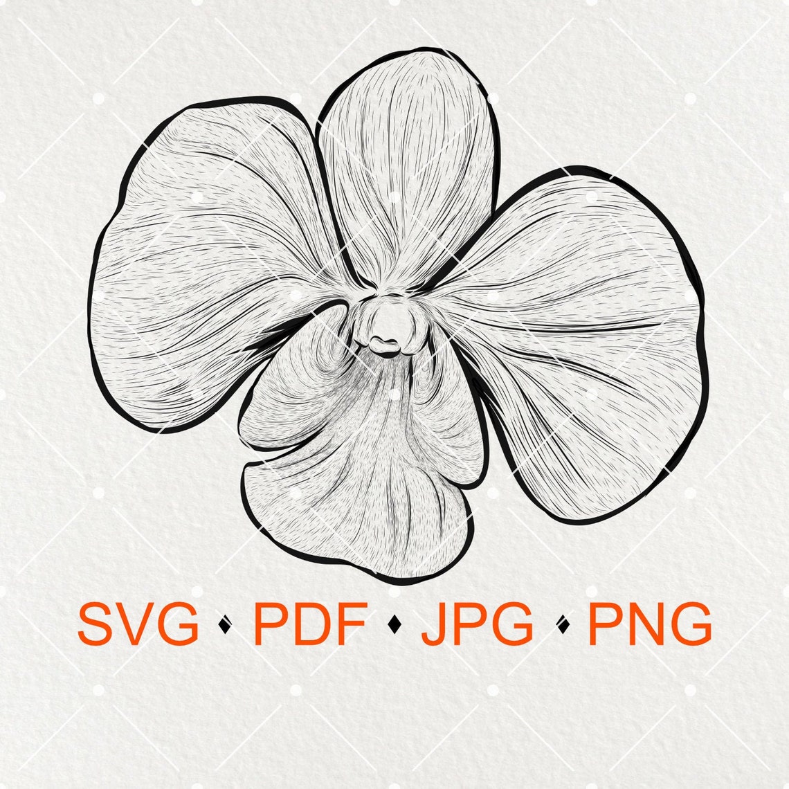 Orchid SVG JPG PNG Digital Download / Digital Vector Clipart Print - Etsy