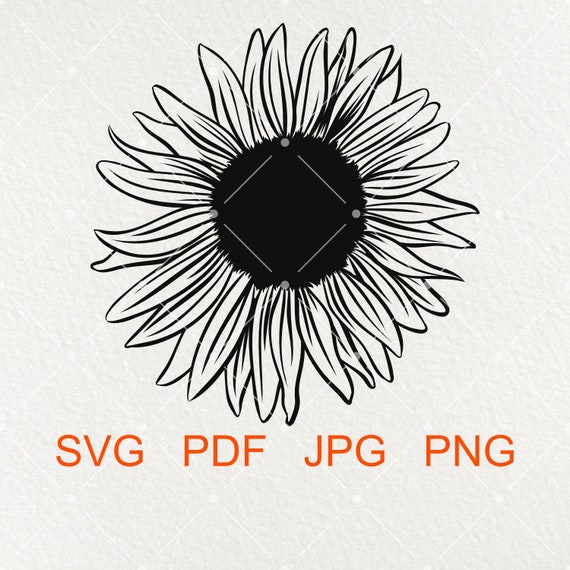 Vector Sunflower SVG JPG PNG Pdf Digital Download / Digital - Etsy