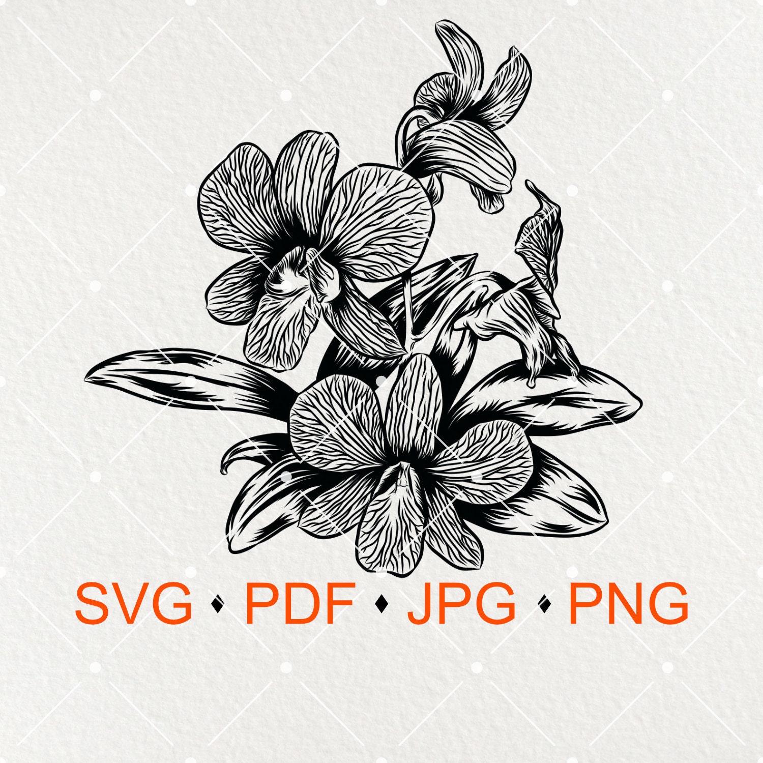 Orchid Svg Jpg Png Pdf Digital Download / Digital Vector Clipart Print ...
