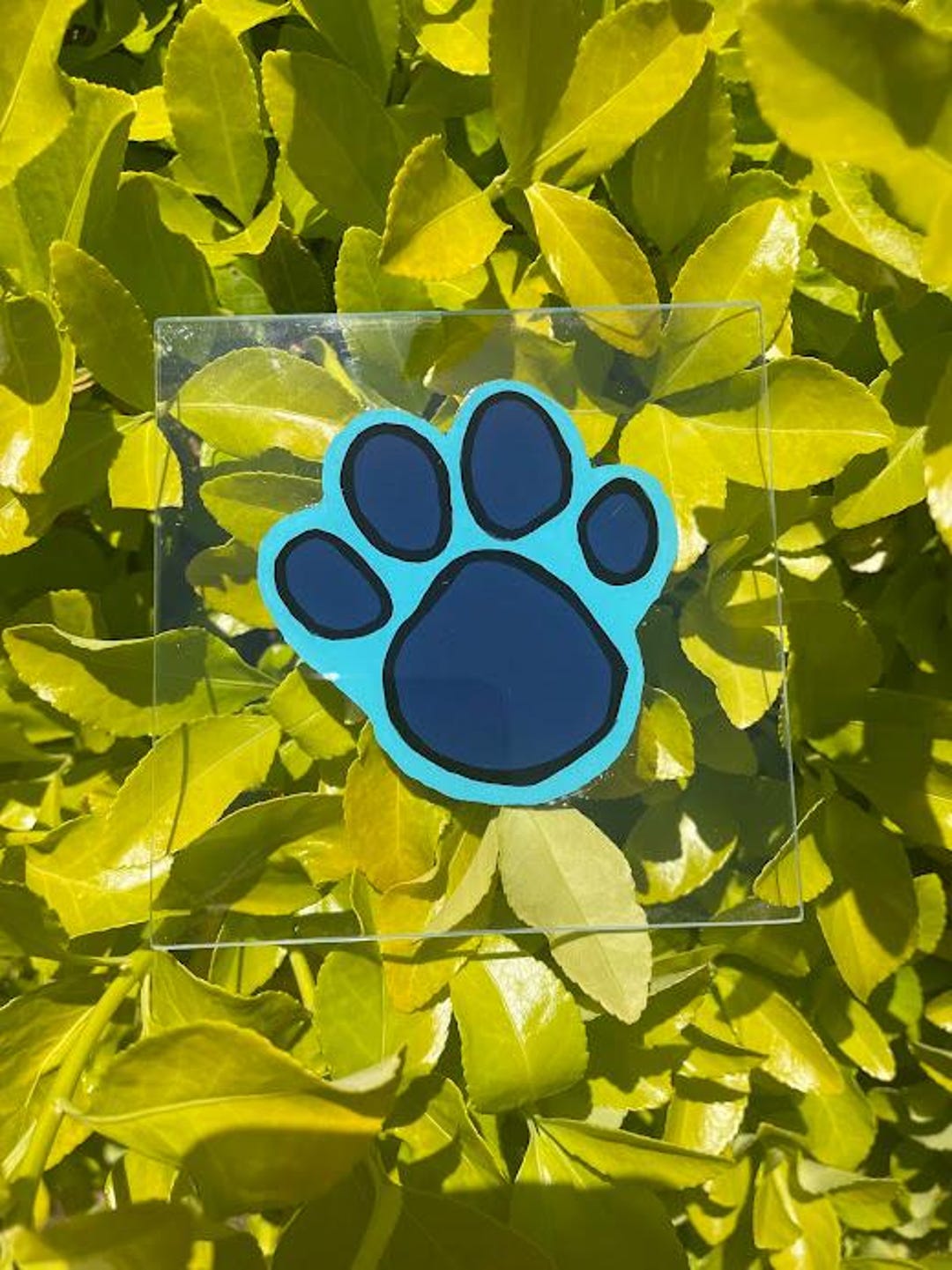Blues Clues | Hand Painted Acrylic on Plexiglass| Blue Paw Print | Clue ...