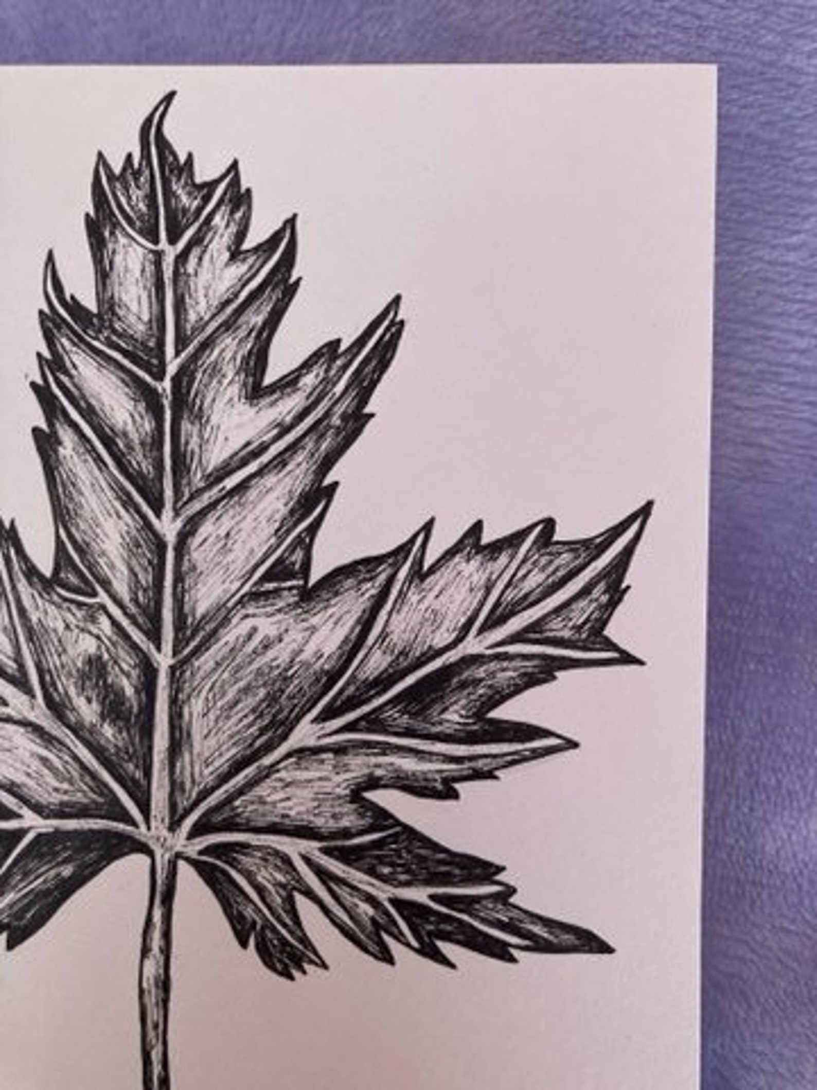 Maple Leaf Pen Drawing Illustration A5 Nature Artwork Home | Etsy