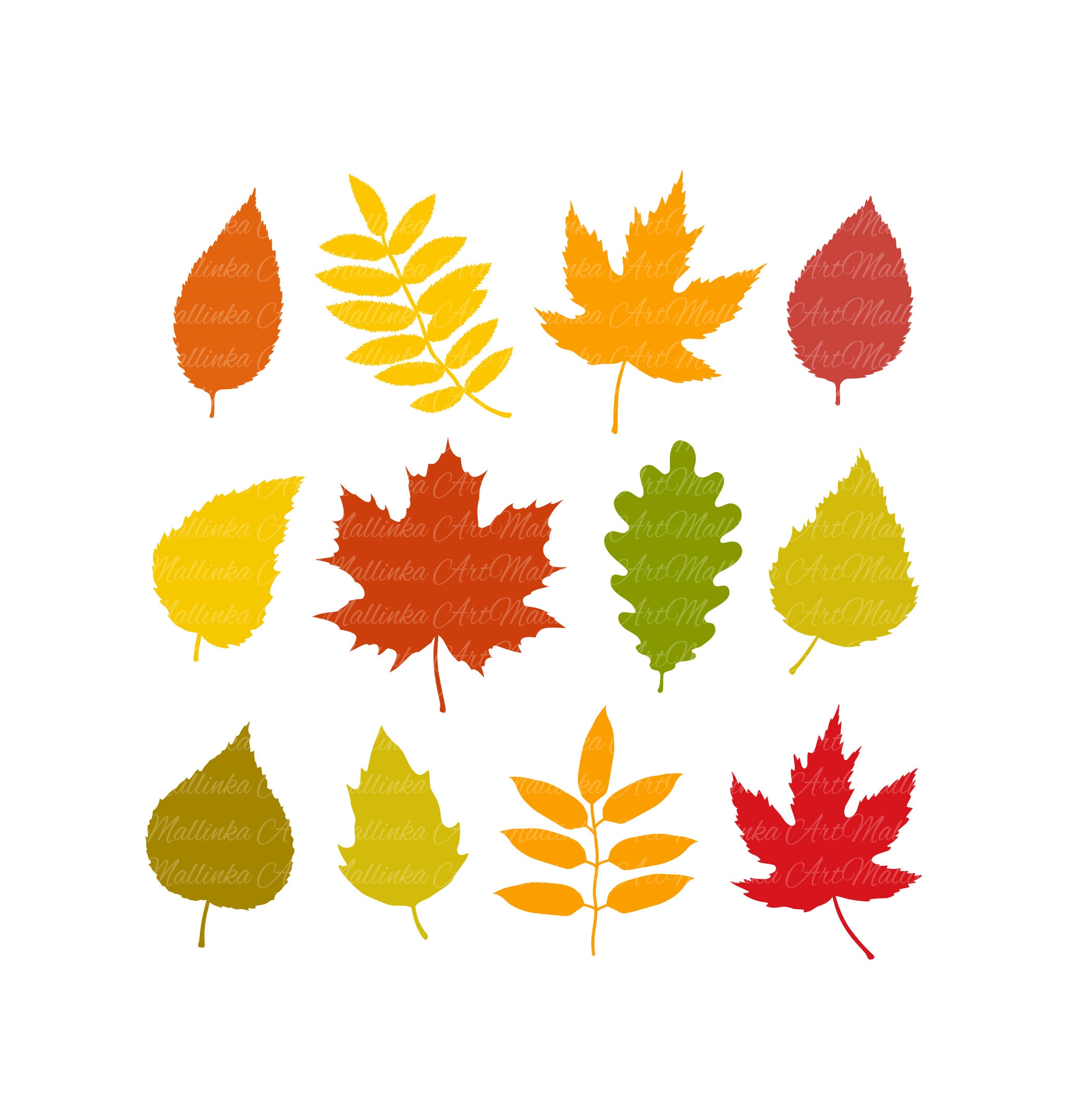 Art Collectibles Clip Art Autumnal Leaves Svg Files Autumn Leaves Svg art-collectibles-clip-art-autumnal-leaves-svg-files-autumn-leaves-svg