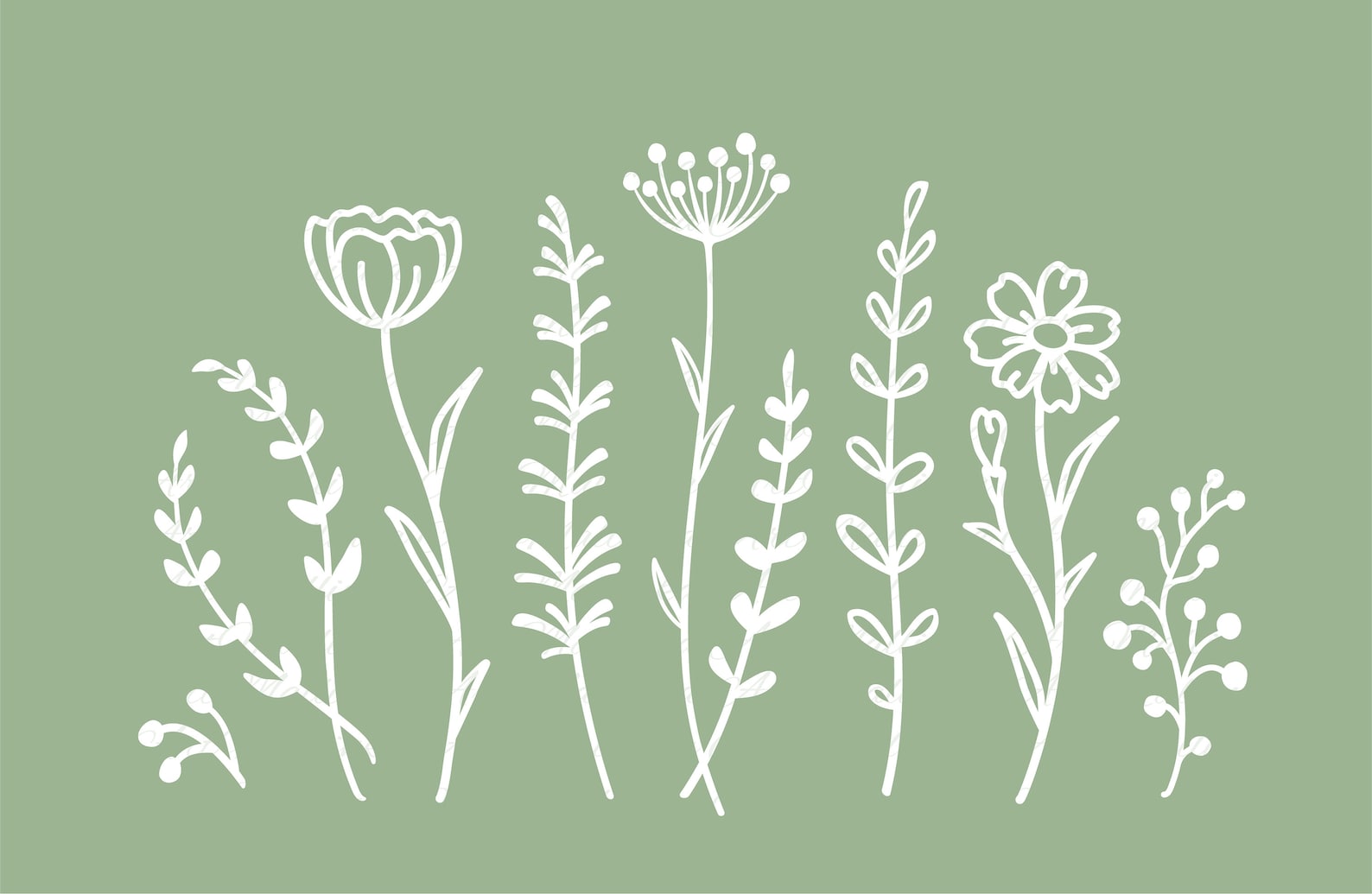 Flower, Flower SVG, Flowers, Svg, Flower Vector, Floral Botanical ...