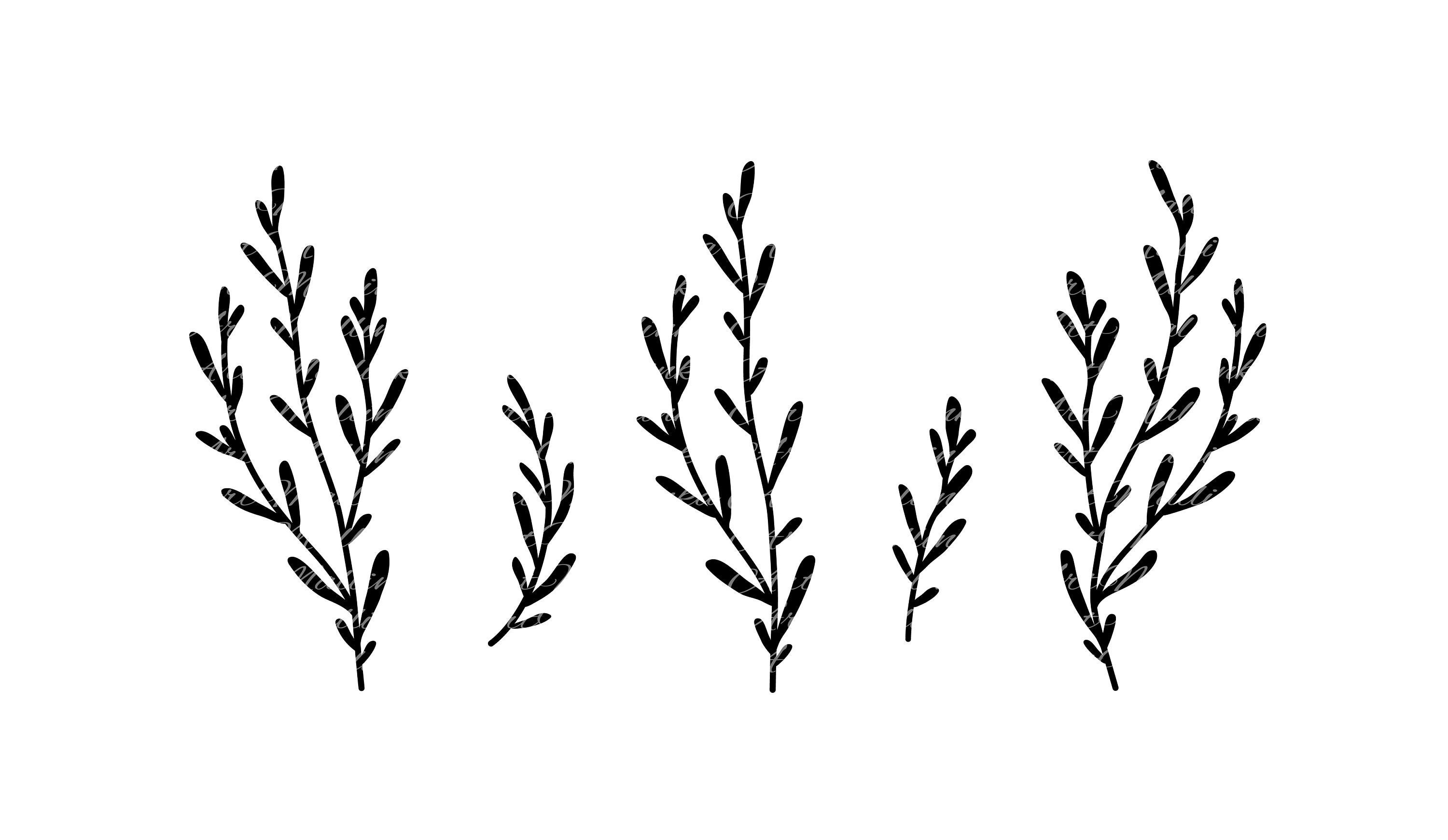 Ramas SVG. svg. ramas de olivo svg. ramas de laurel. Olive - Etsy México