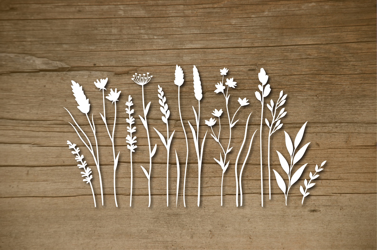 Flowers Svg. Svg. Wild Herbs Svg. Plants and Grass. Lavender Svg ...