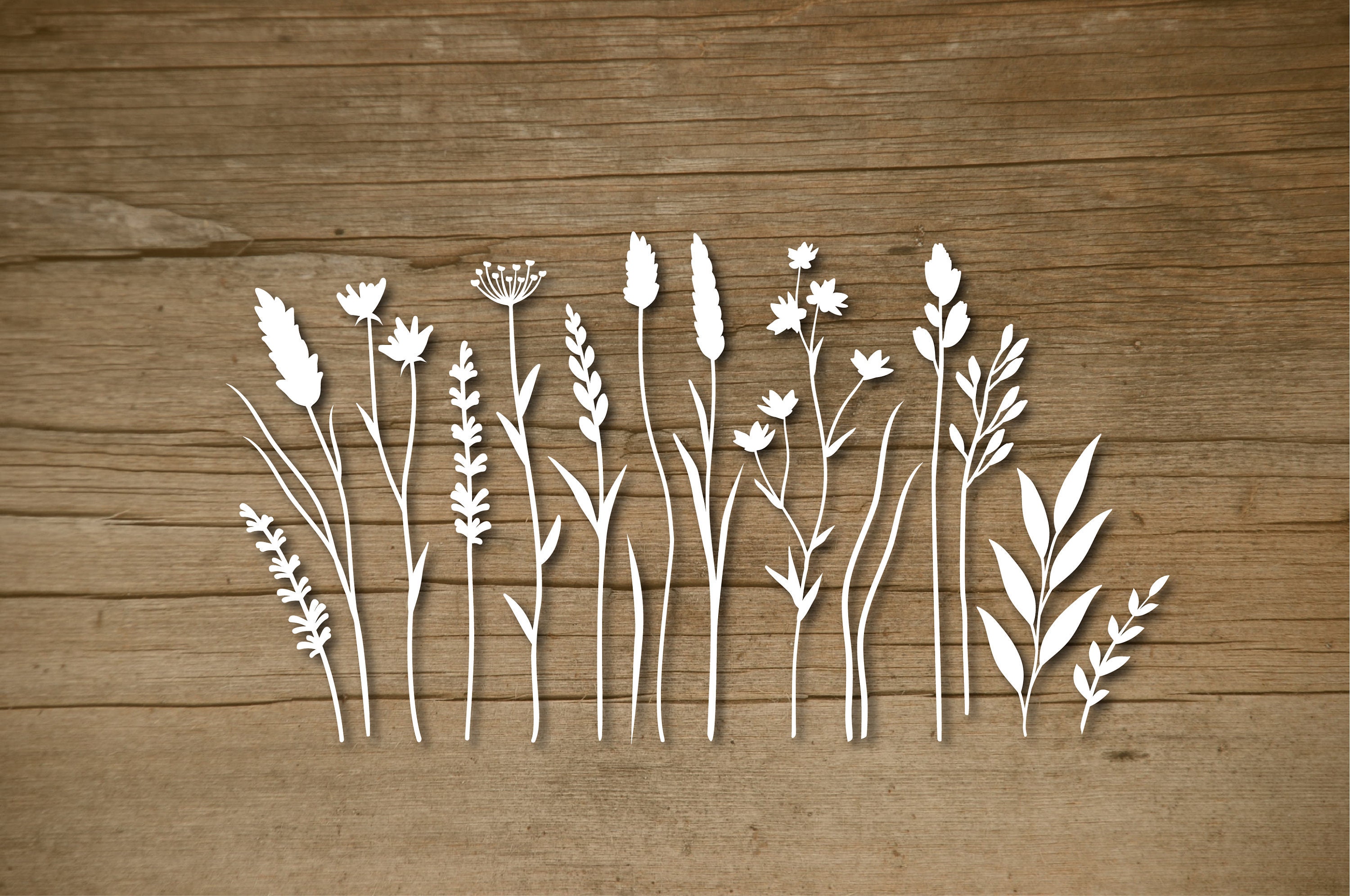 Fleurs Svg. Fichier vectoriel Herbes sauvages Svg. Plantes et herbe ...