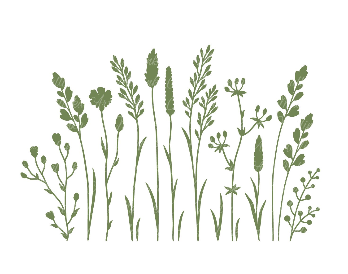 Flores SVG. SVG. Flores silvestres SVG. Hierbas silvestres Svg. Plantas ...