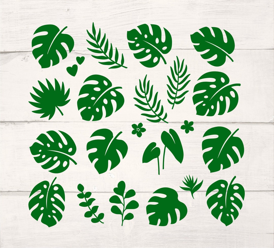 Hojas Tropicales Svg. Ramas de palma SVG. Paquete de ramas de la selva ...