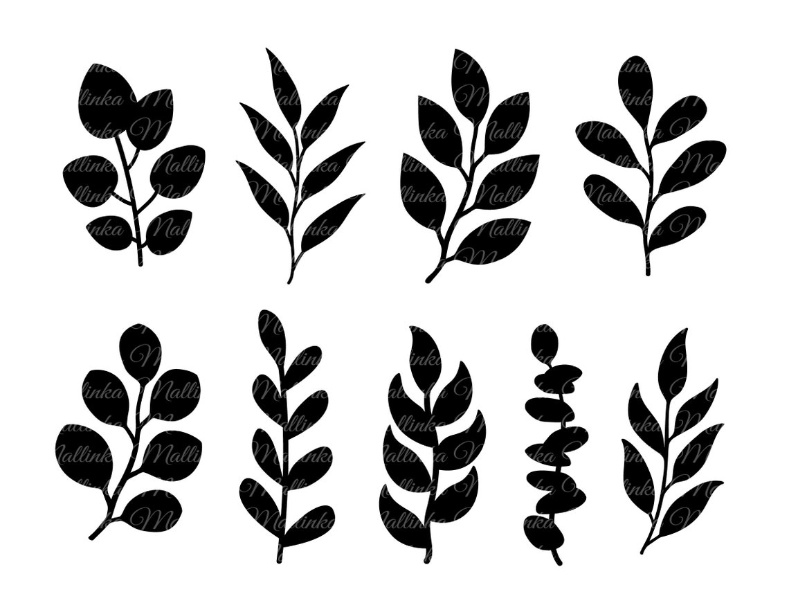 Eucalyptus. Eucalyptus Svg. Svg. Branches SVG. Laurel Branches. Vector ...