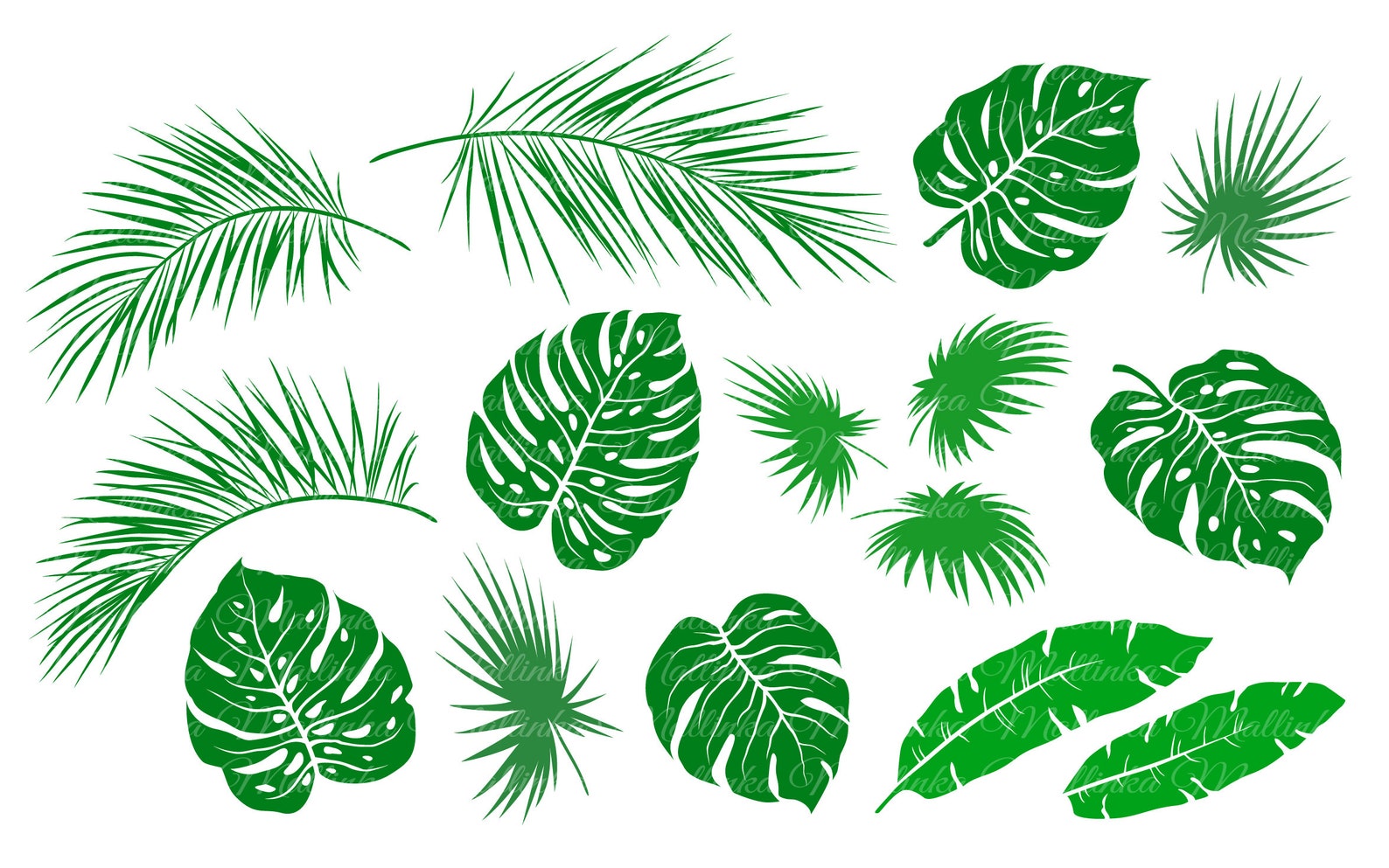 Palm Svg. Svg. Palm. Tropical. Palm Leaves. Cut SVG. Leaves Svg. Leaves ...